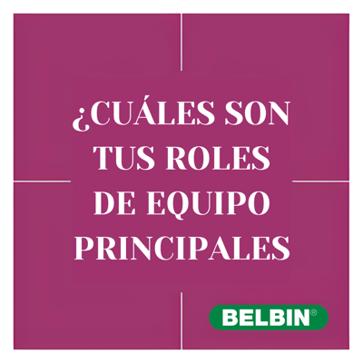 Caso práctico: Belbin y Fujifilm