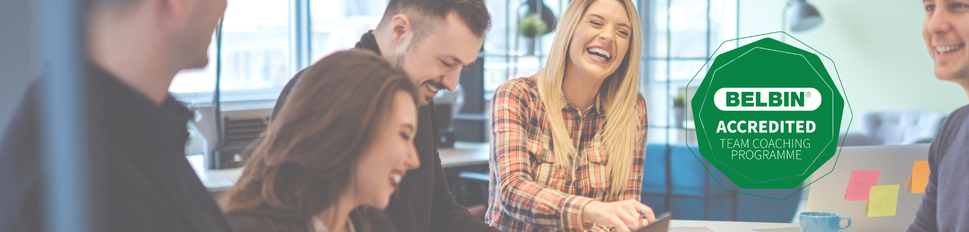 Belbin Team Coaching Programme